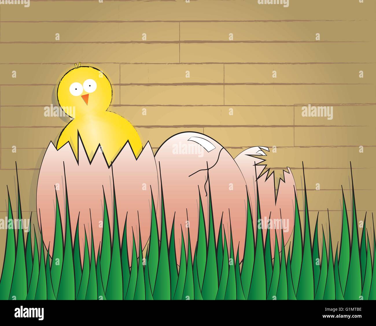 Chicken chick hatching from egg hi-res stock photography and images - Alamy