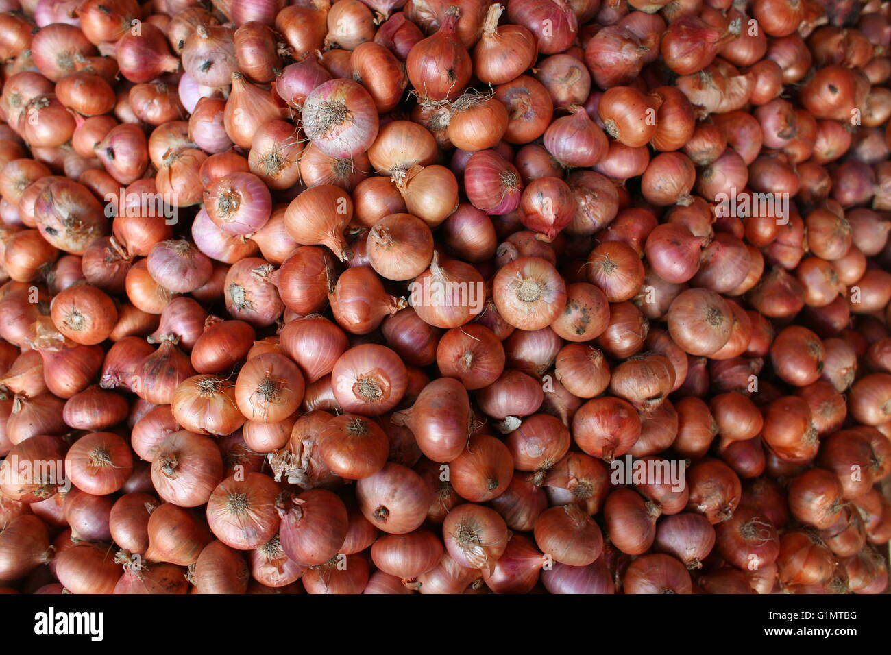 Onion-Pile Of onions / Stack Of onions-in the market Stock Photo - Alamy