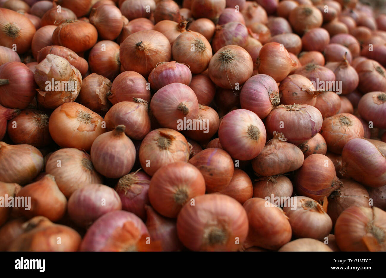Onion-Pile Of onions / Stack Of onions-in the market Stock Photo - Alamy
