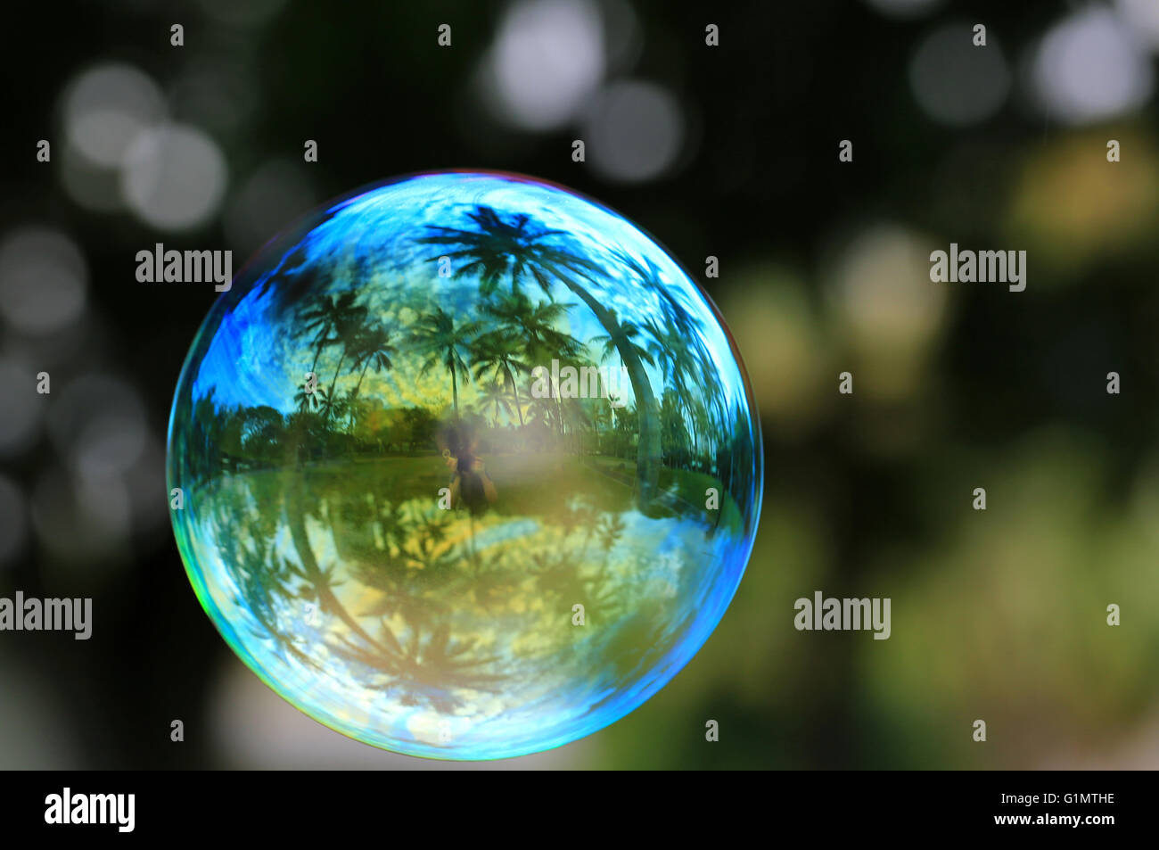 Floating colorful soap bubble with coconut palms and clouds reflection ... Floating colorful soap bubble with coconut palms and clouds reflection ...