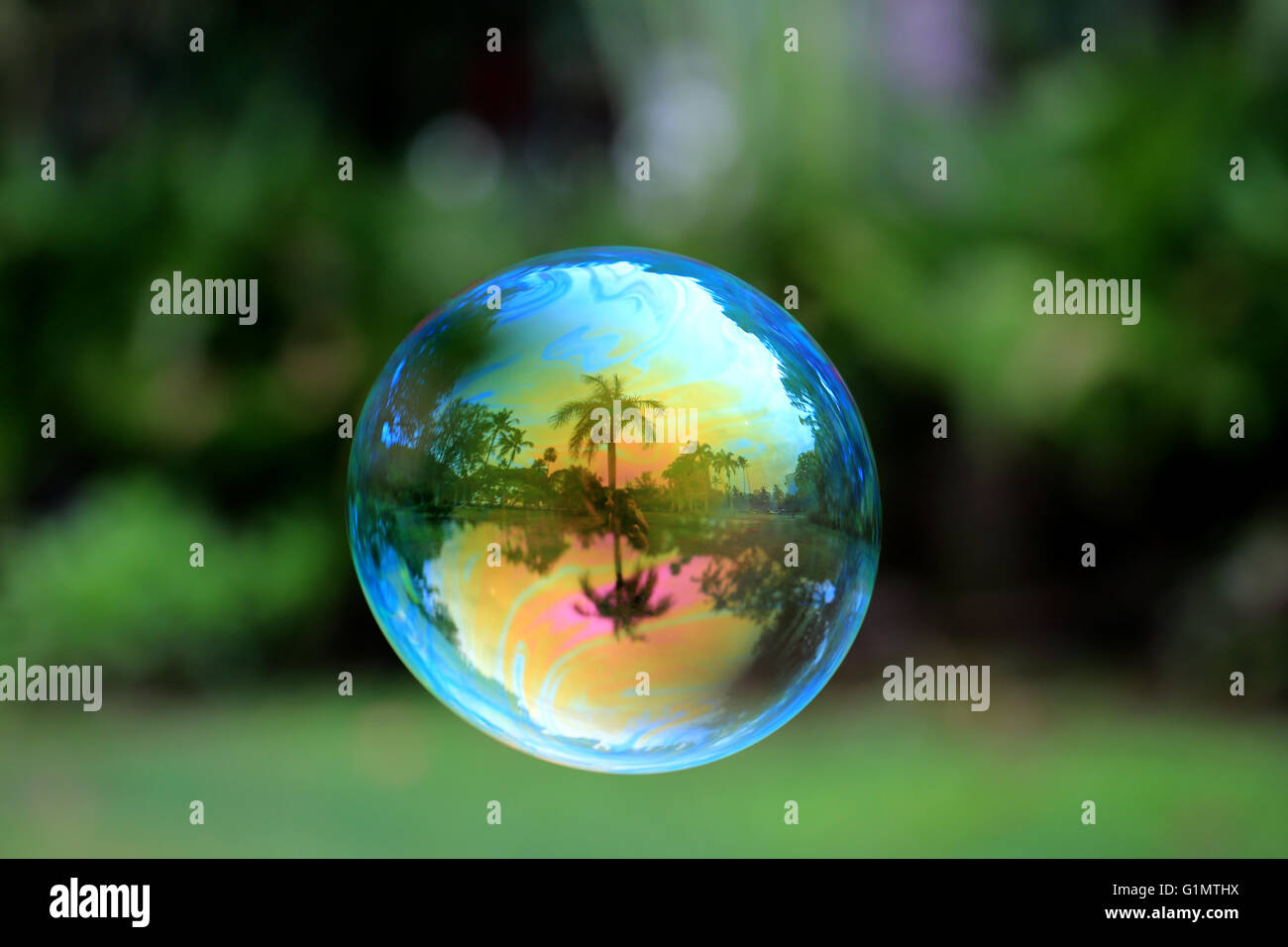 Floating colorful soap bubble with palm reflection, macro Stock Photo ... Floating colorful soap bubble with palm reflection, macro Stock Photo ...
