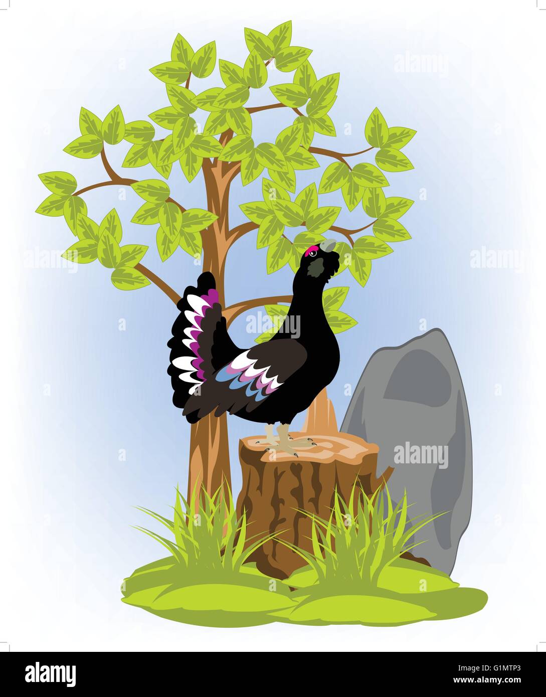 Illustration of the timber bird black grouse on white background is ...