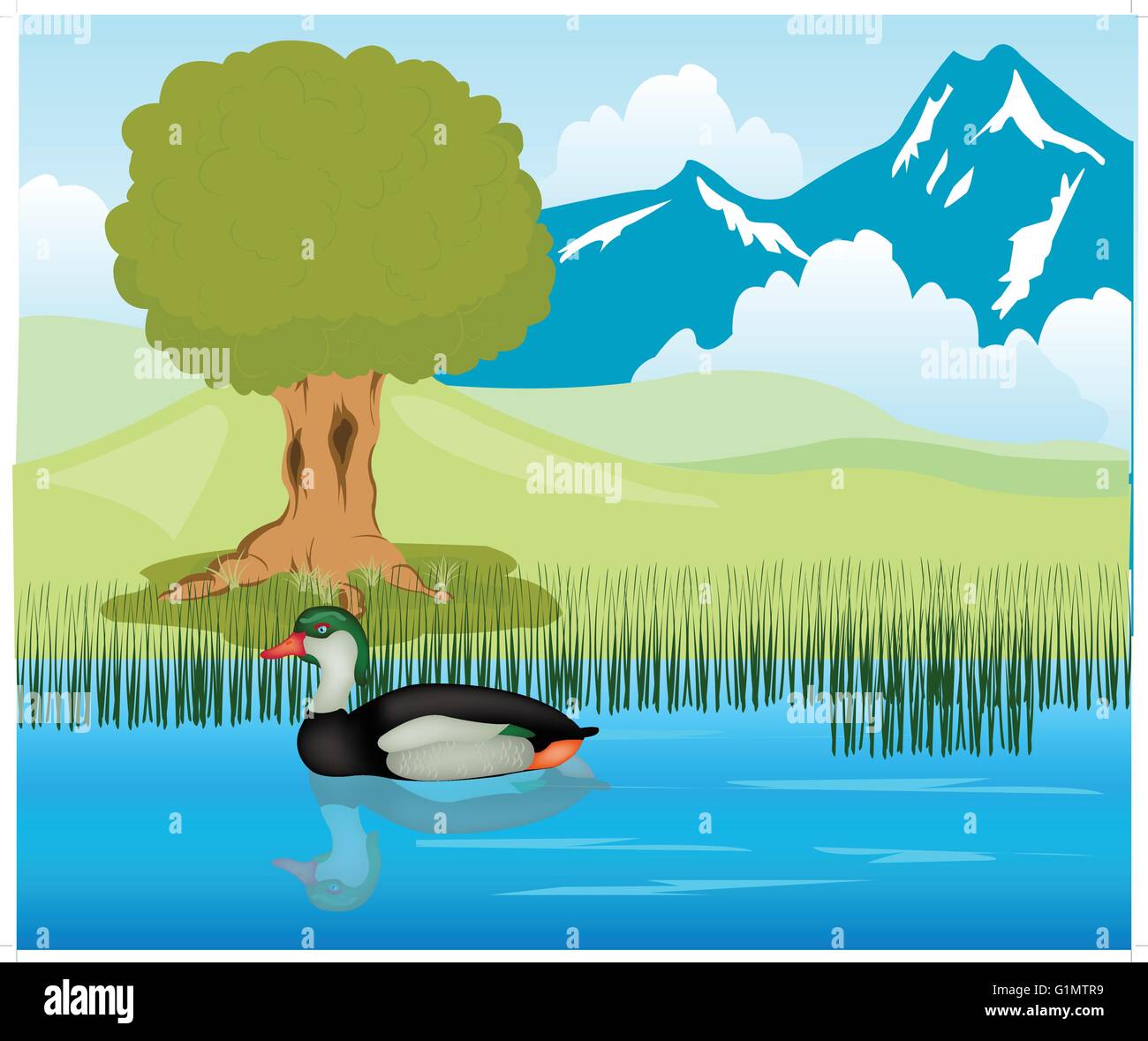 Transparent water in lake Stock Vector Images - Alamy