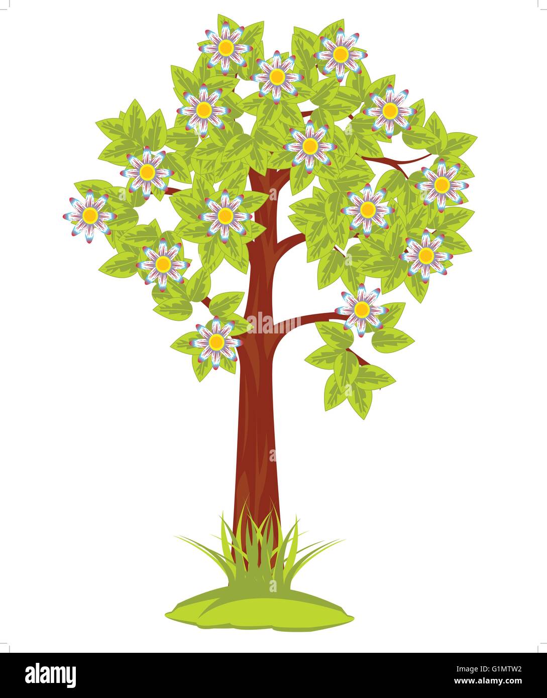 Odaa Cut Out Stock Images & Pictures - Alamy