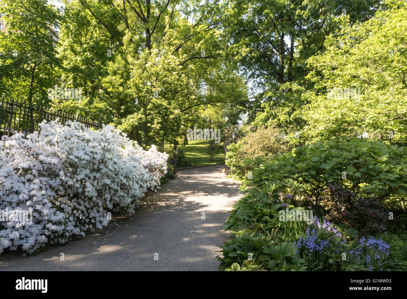 Conservatory of flowers exterior hi-res stock photography and images ...