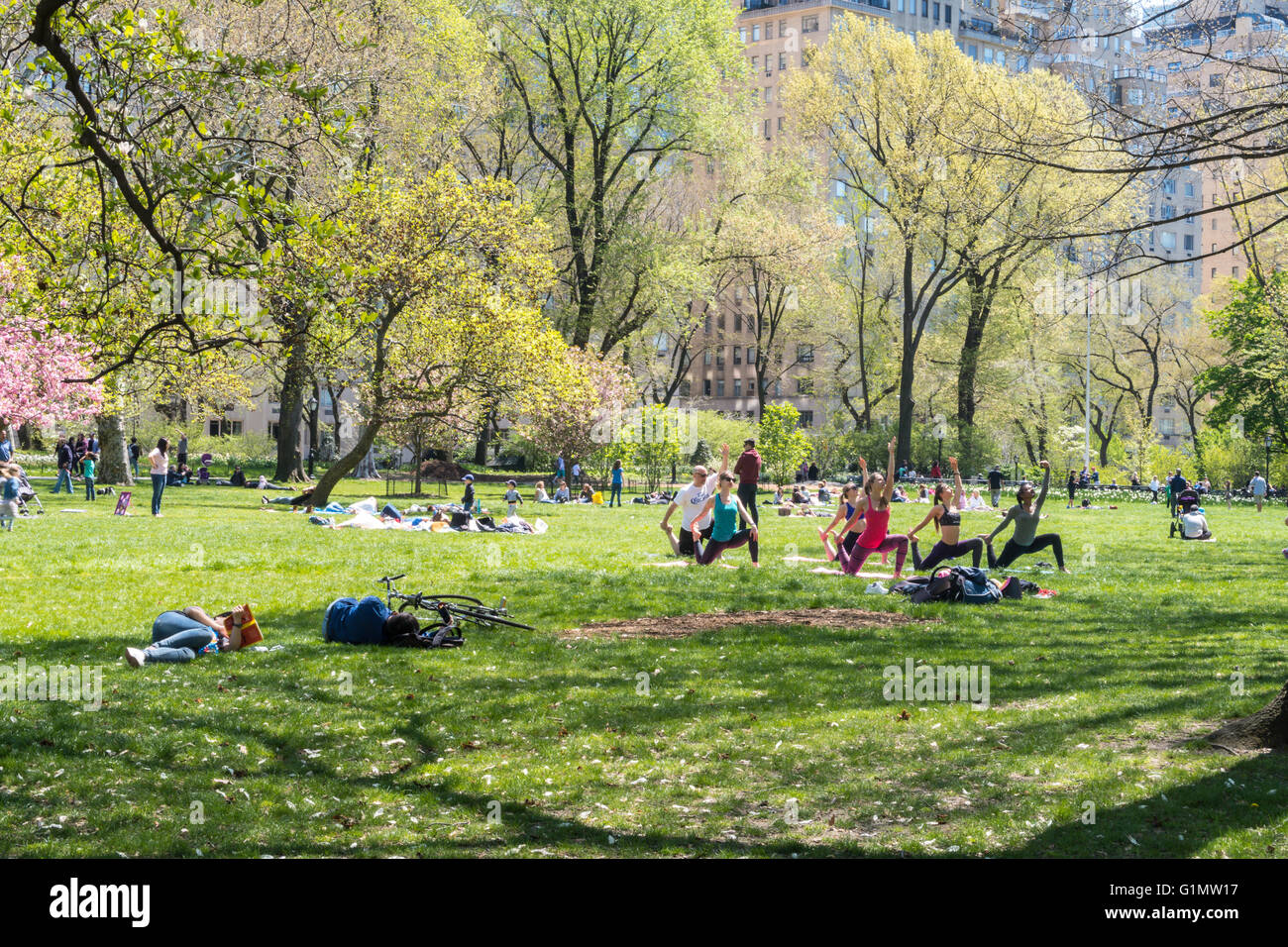 Central Park's East Green in Springtime, NYC, USA Stock Photo - Alamy