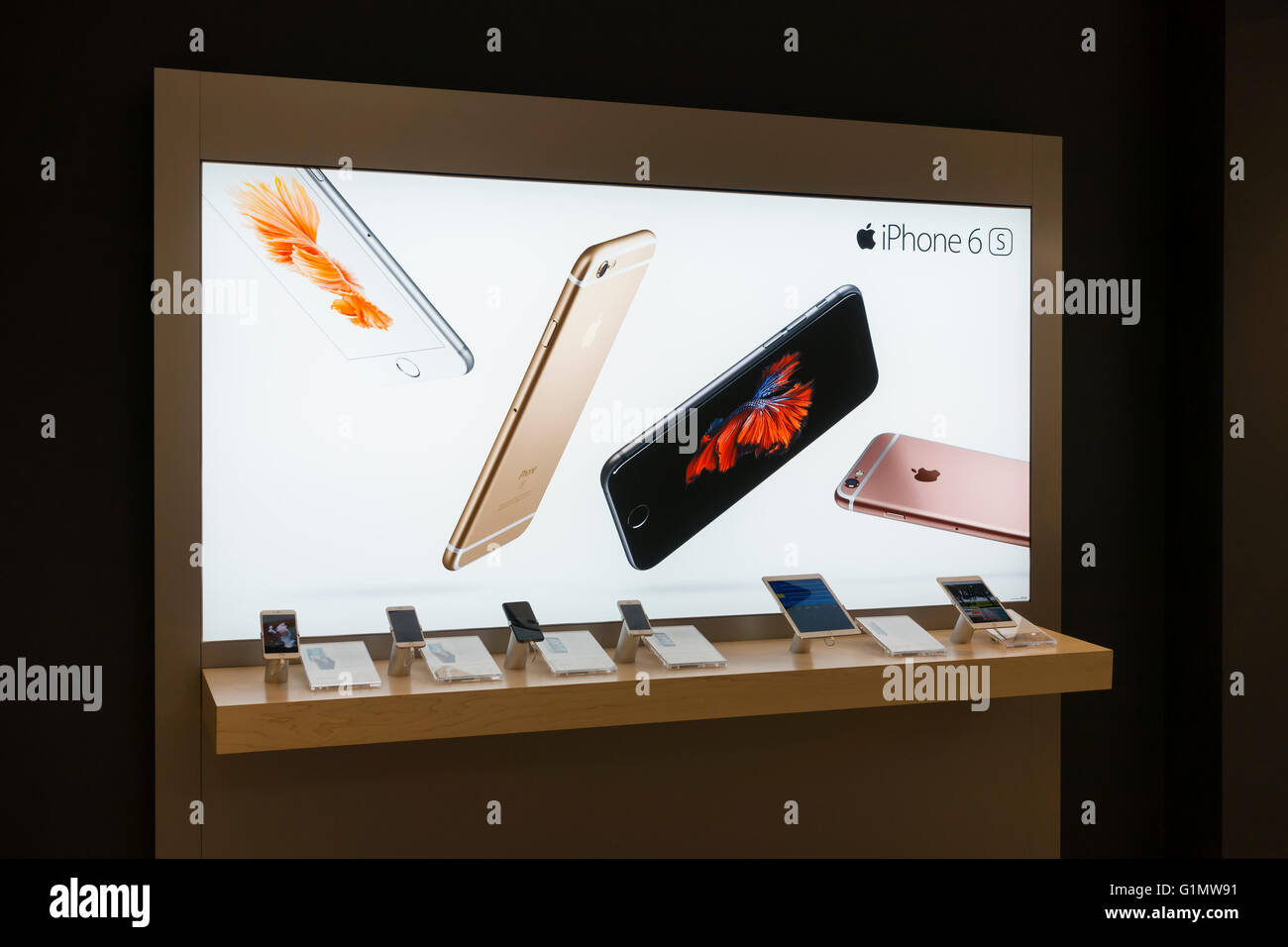 An iPhone 6s illuminated display inside a Rogers Communication store ...