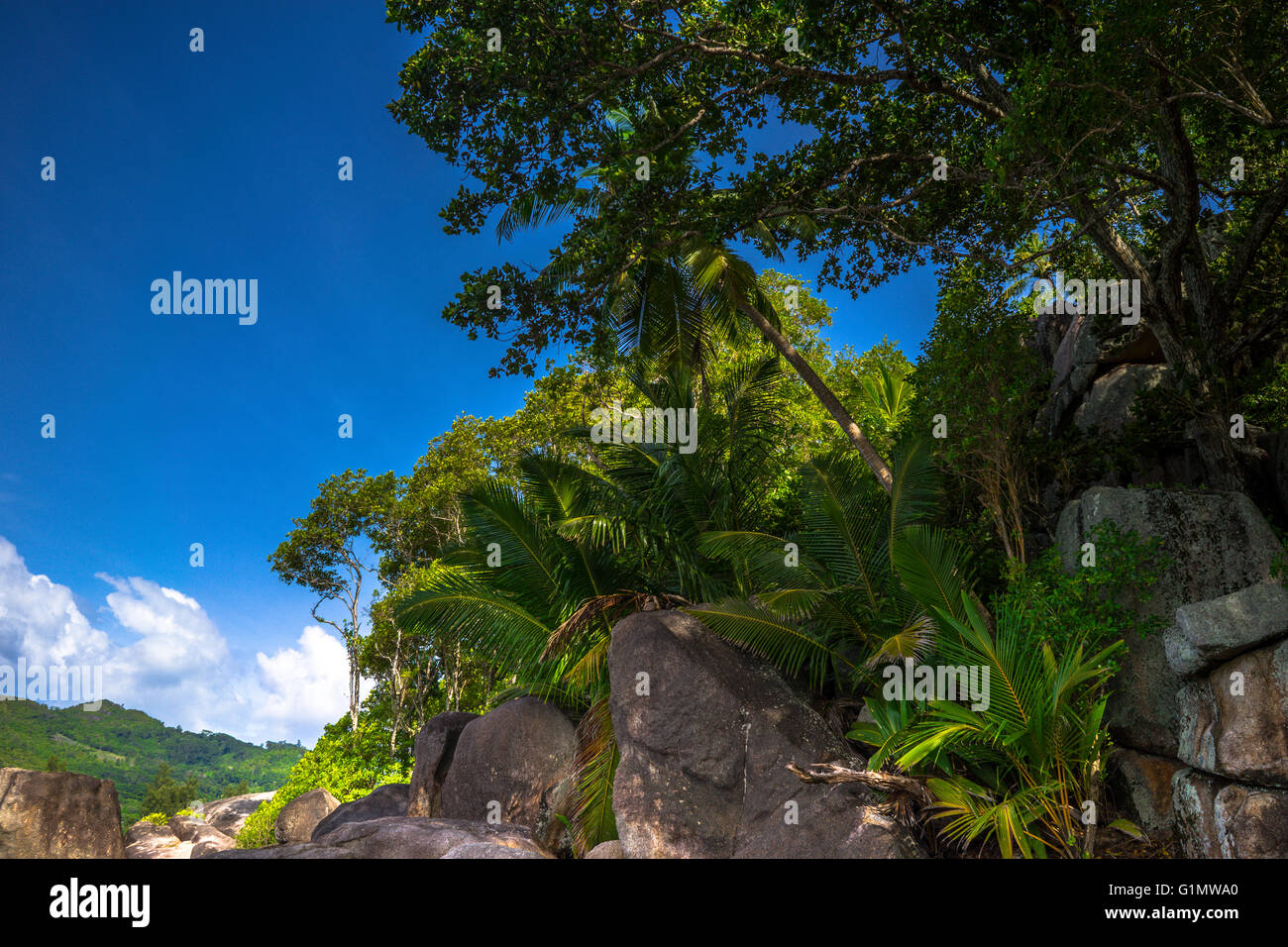 Beautiful pristine and untouched nature in Mahe island, Seychelles ...
