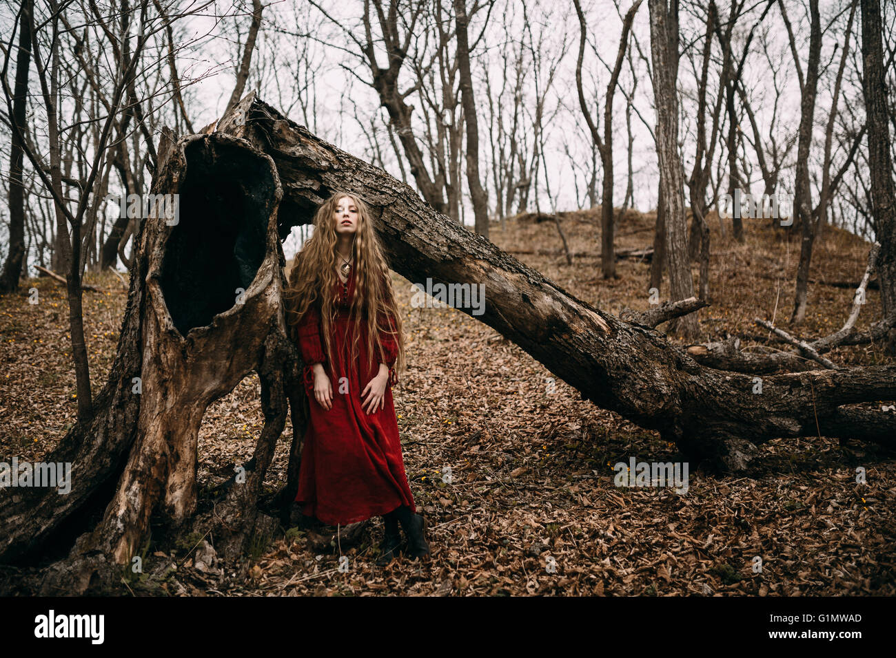 Witch in forest Stock Photo - Alamy