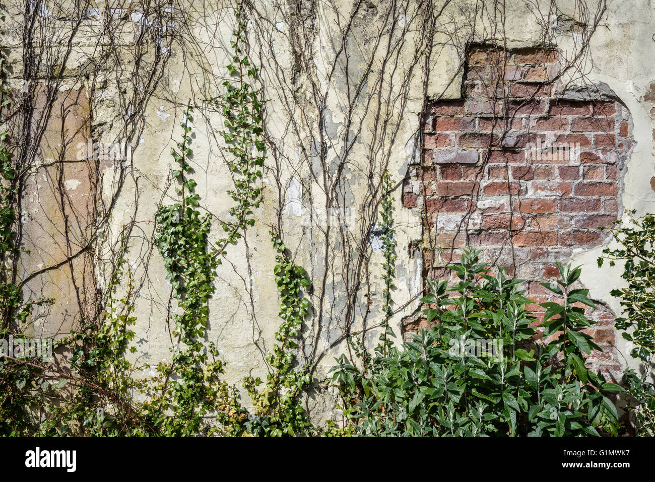 Crumbling cement wall blue hi-res stock photography and images - Alamy