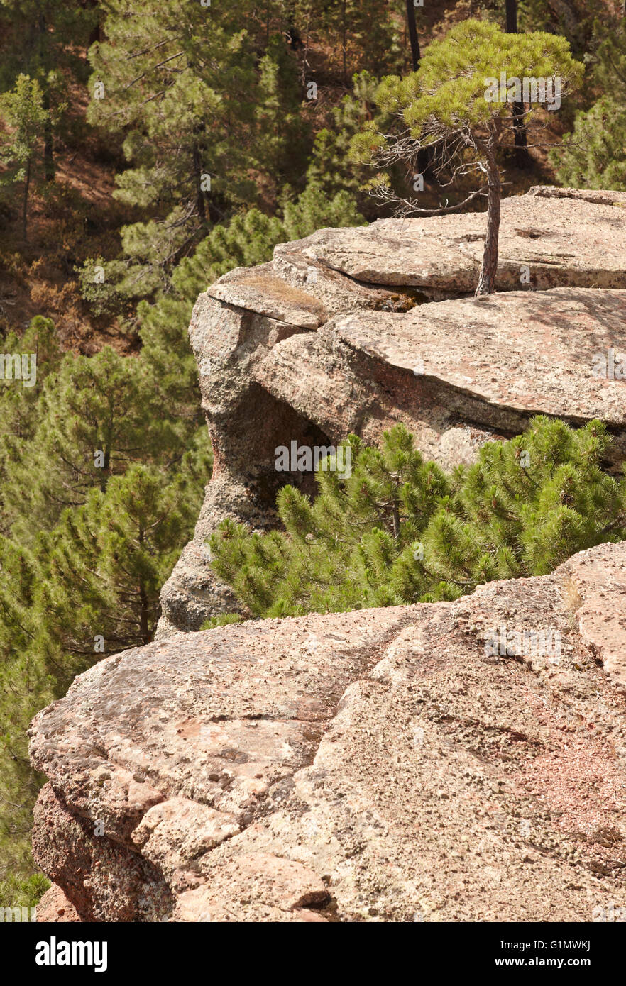 Landscape with huge rocks and pine tree forest in Spain. Vertical Stock ...