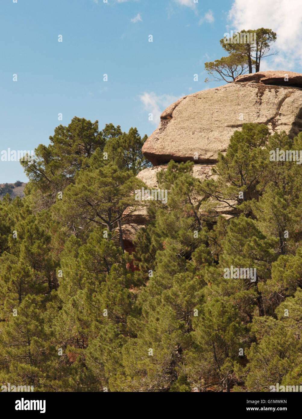 Landscape with huge rocks and pine tree forest in Spain. Vertical Stock ...