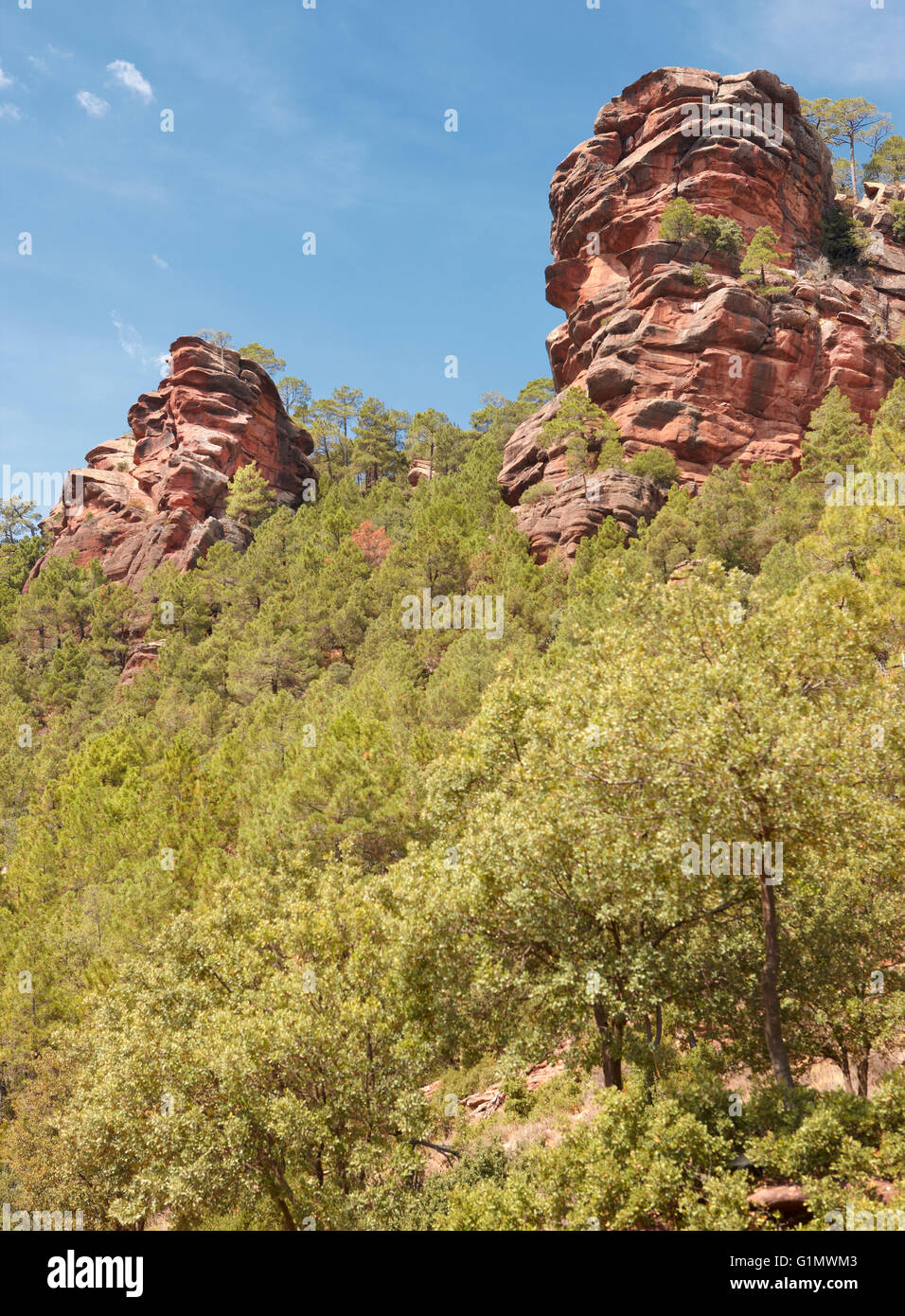 Landscape with huge rocks and pine tree forest in Spain. Vertical Stock ...