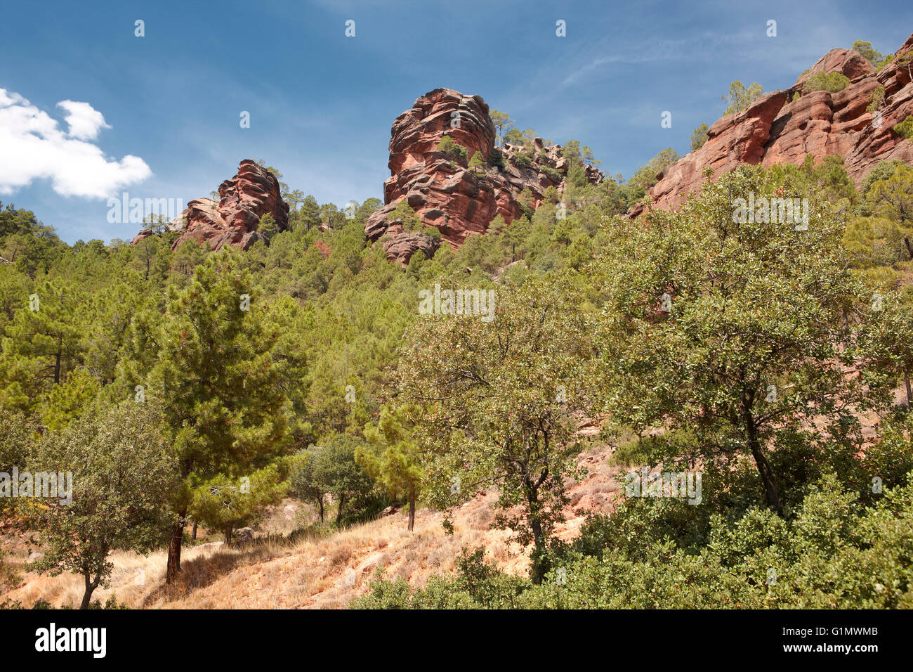 Landscape with huge rocks and pine tree forest in Spain. Horizontal ...