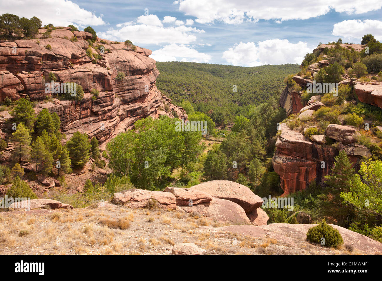 Landscape with huge rocks and pine tree forest in Spain. Horizontal ...
