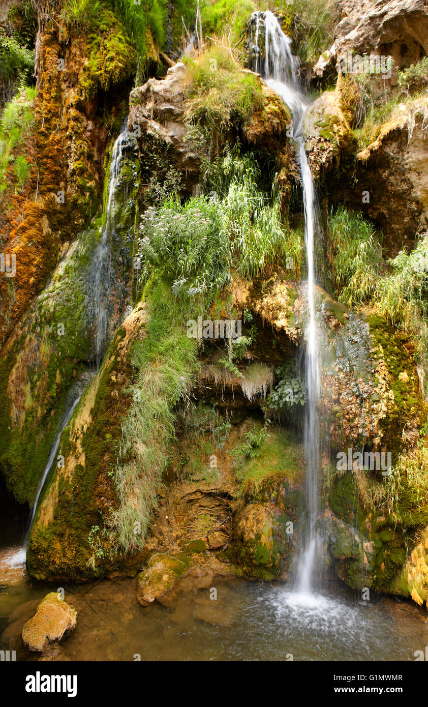 Waterfall with green plants and flowers in Spain. Vertical Stock Photo ...