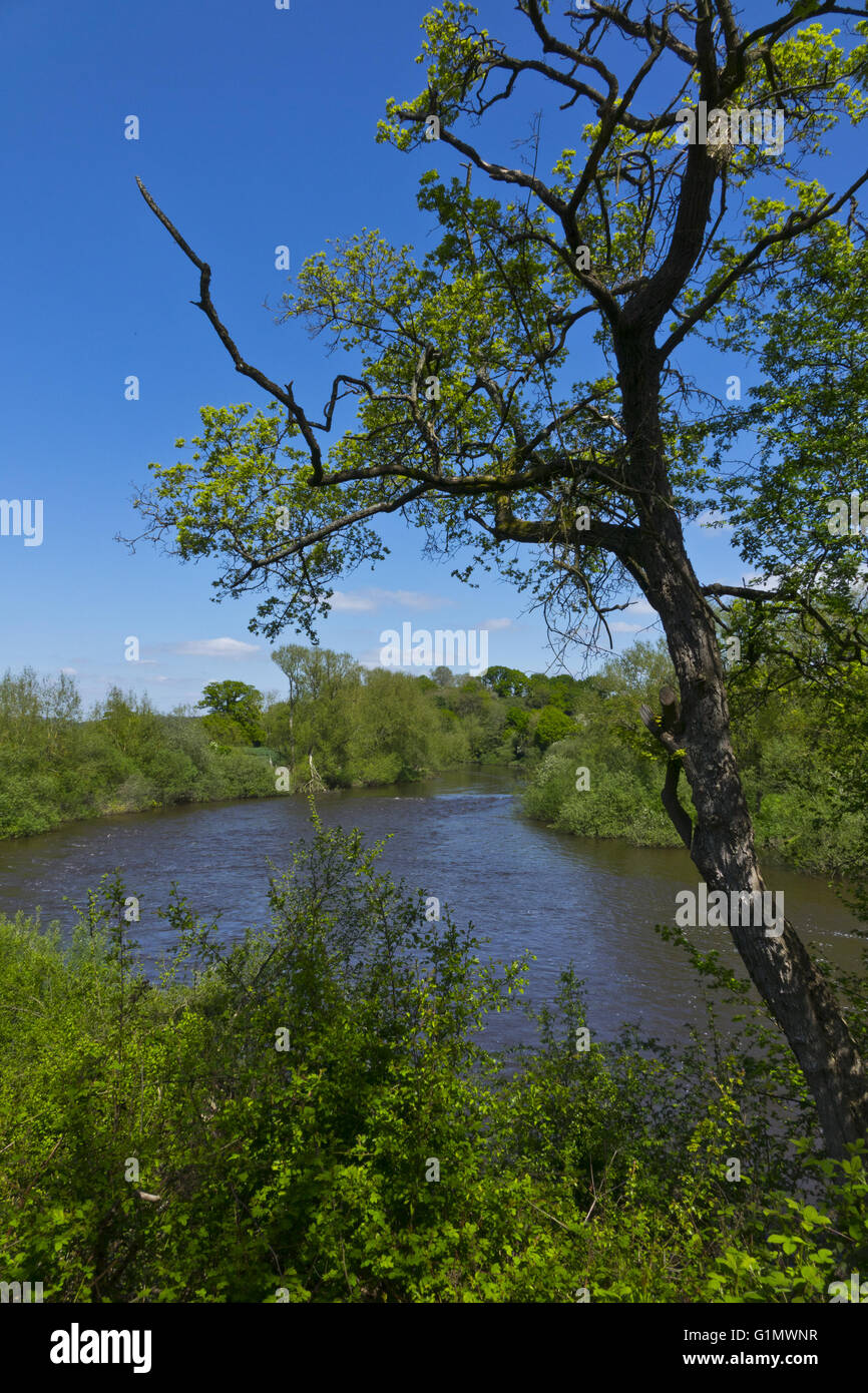 Chelmarsh hi-res stock photography and images - Alamy