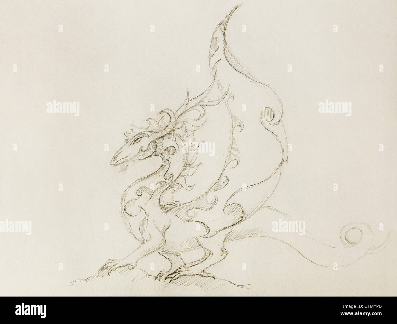 drawing of ornamental dragon on old paper background Stock Photo - Alamy
