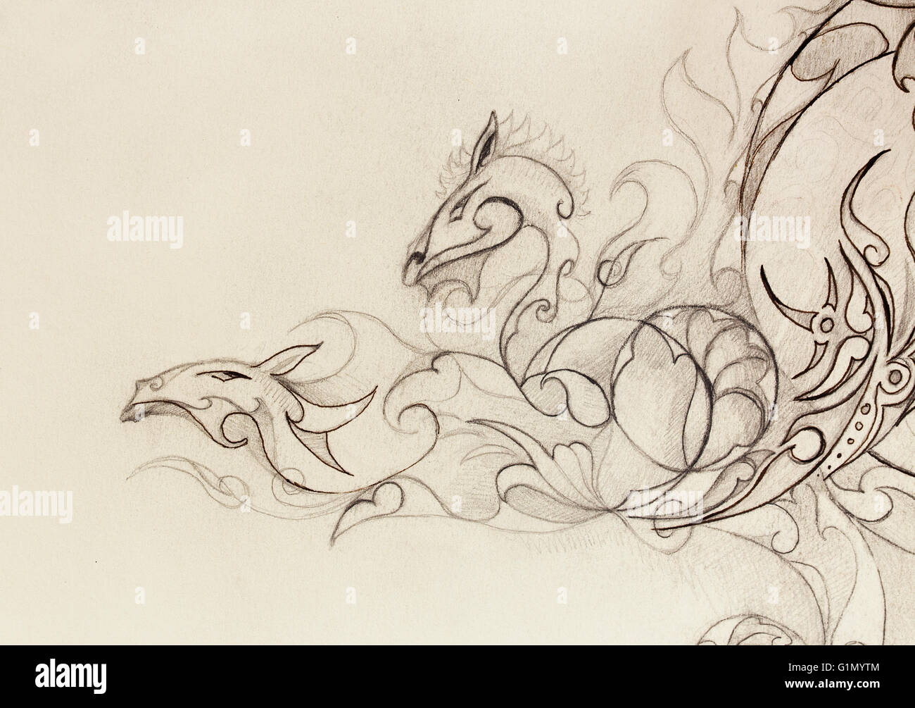 drawing of ornamental dragon on old paper background Stock Photo - Alamy