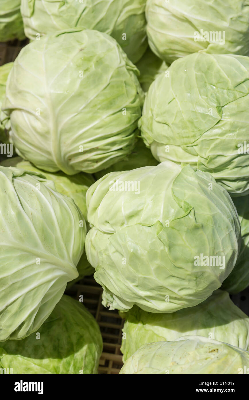 Fresh cabbage market stall pile hi-res stock photography and images - Alamy