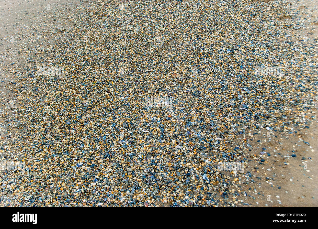 Australian beach in the height of Summer Stock Photo - Alamy