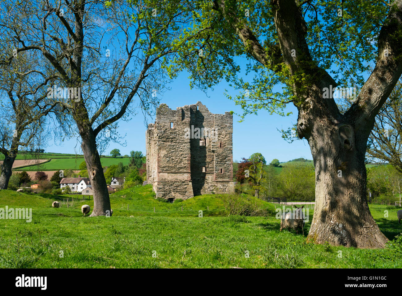 Hopton Castle, South Shropshire, England Stock Photo - Alamy