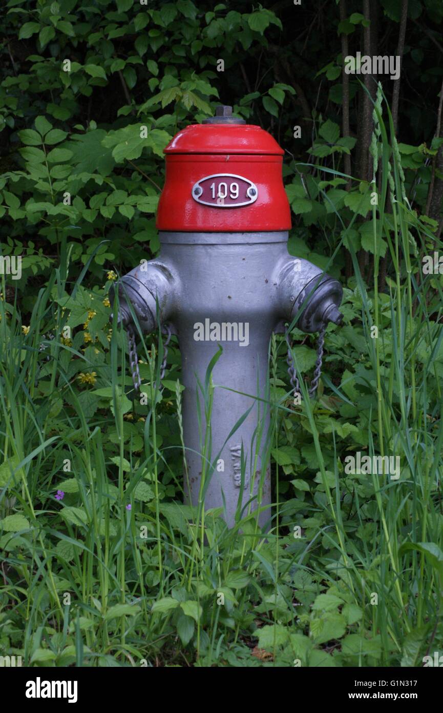Fire hydrant in Switzerland bearing number 109 Stock Photo - Alamy