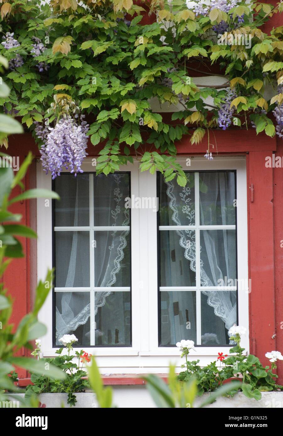 window in Switzerland during Spring, with flowers in window boxes with ...