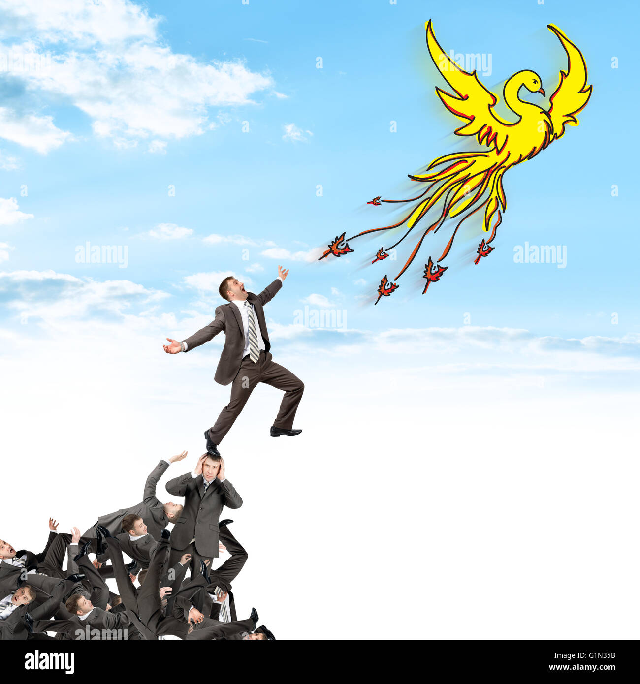 Surprised bird adult hi-res stock photography and images - Alamy