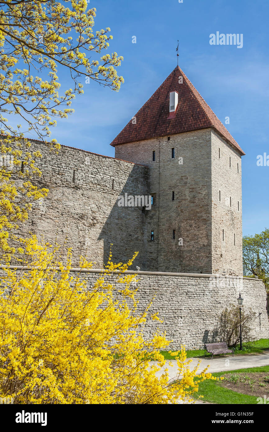 Medieval Tower And Wall Stock Photo - Alamy