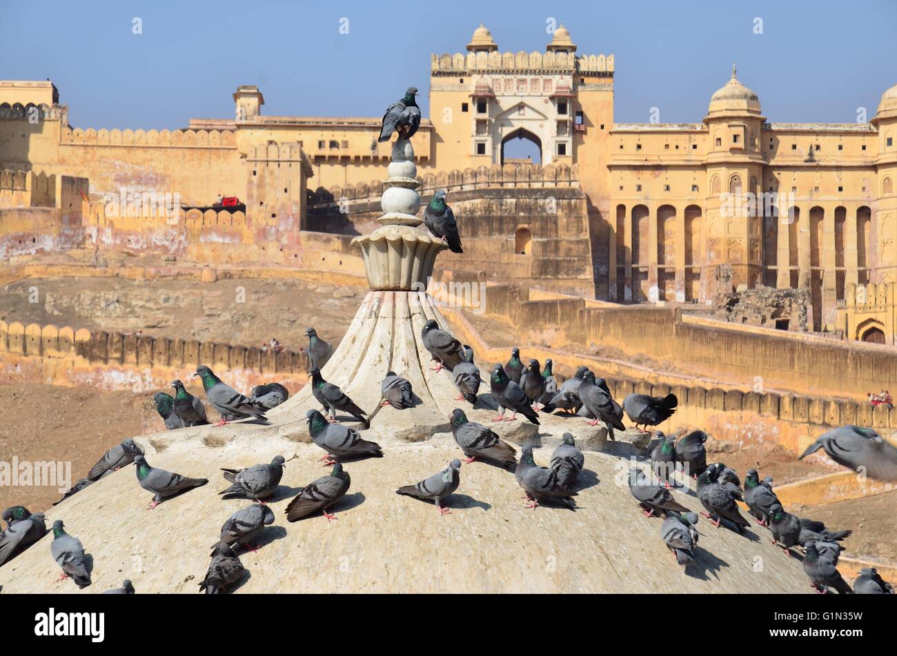 Amer Fort, Jaipur, Rajasthan, India Stock Photo - Alamy