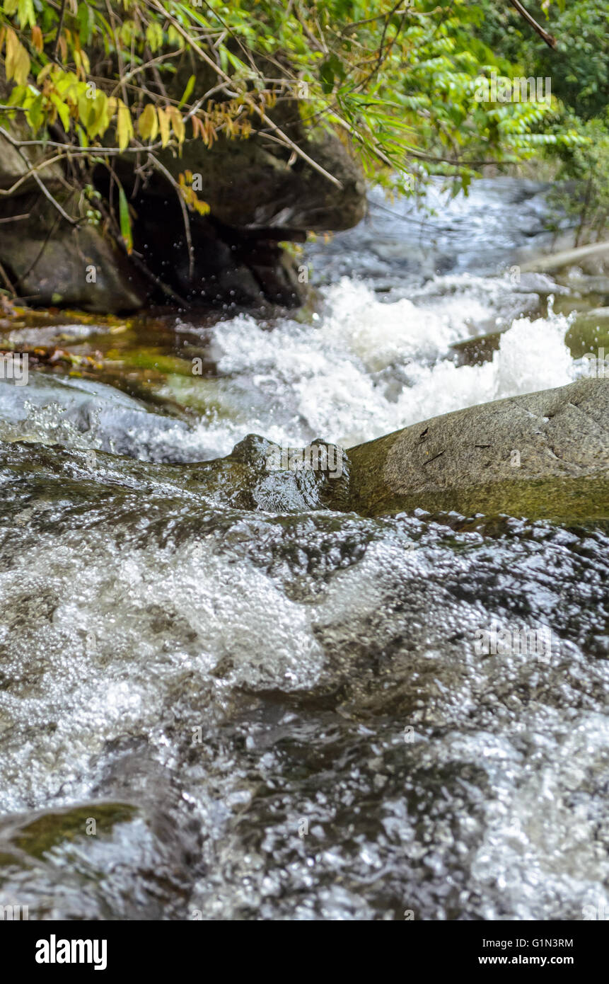 Streams in tropical forests water are flowing downwards Stock Photo - Alamy