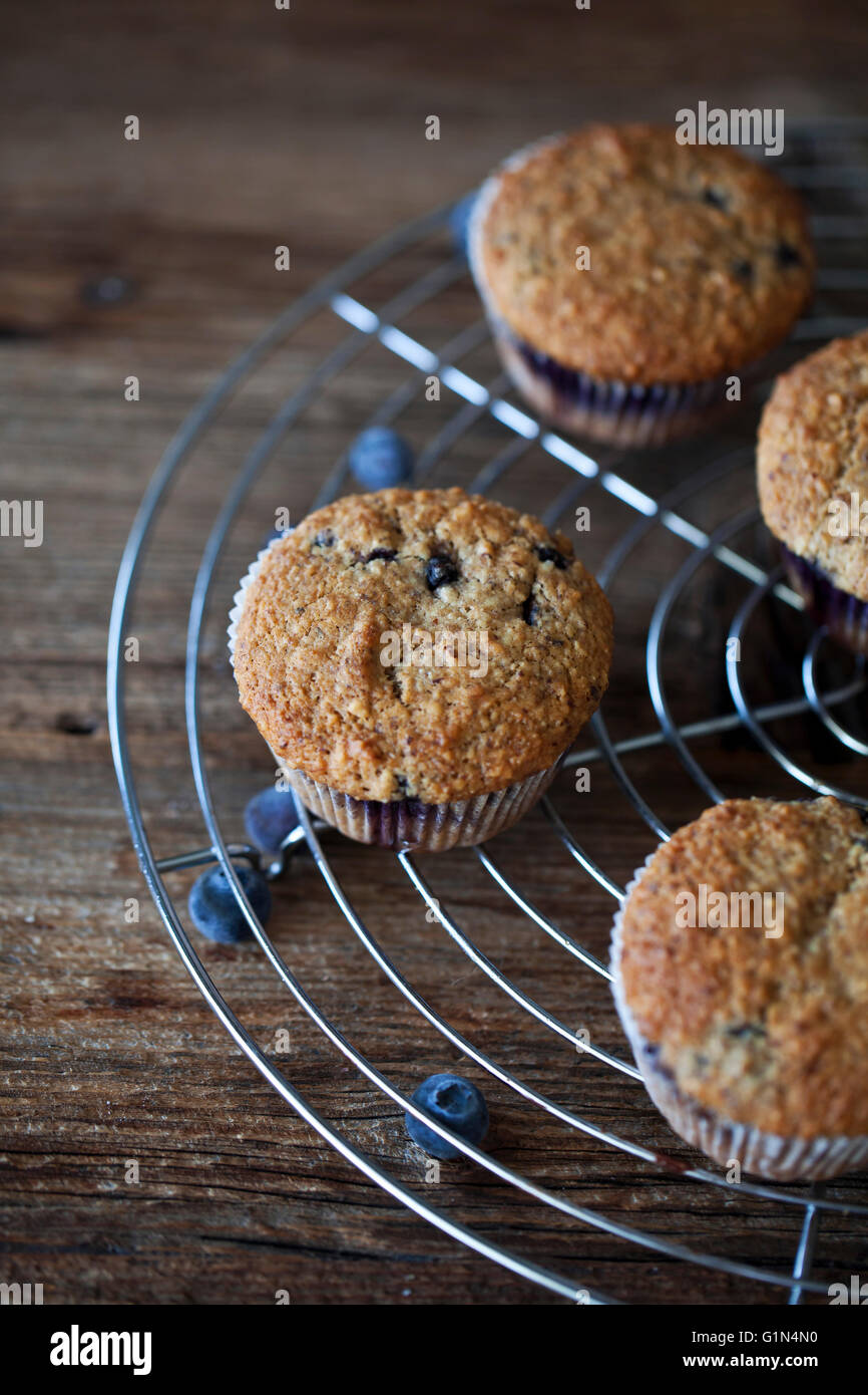 Muffins on a cooling rack hi-res stock photography and images - Alamy