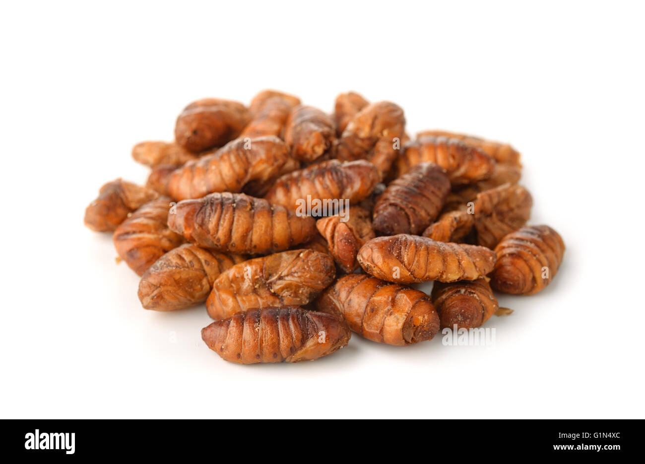 Chrysalis gold hi-res stock photography and images - Alamy