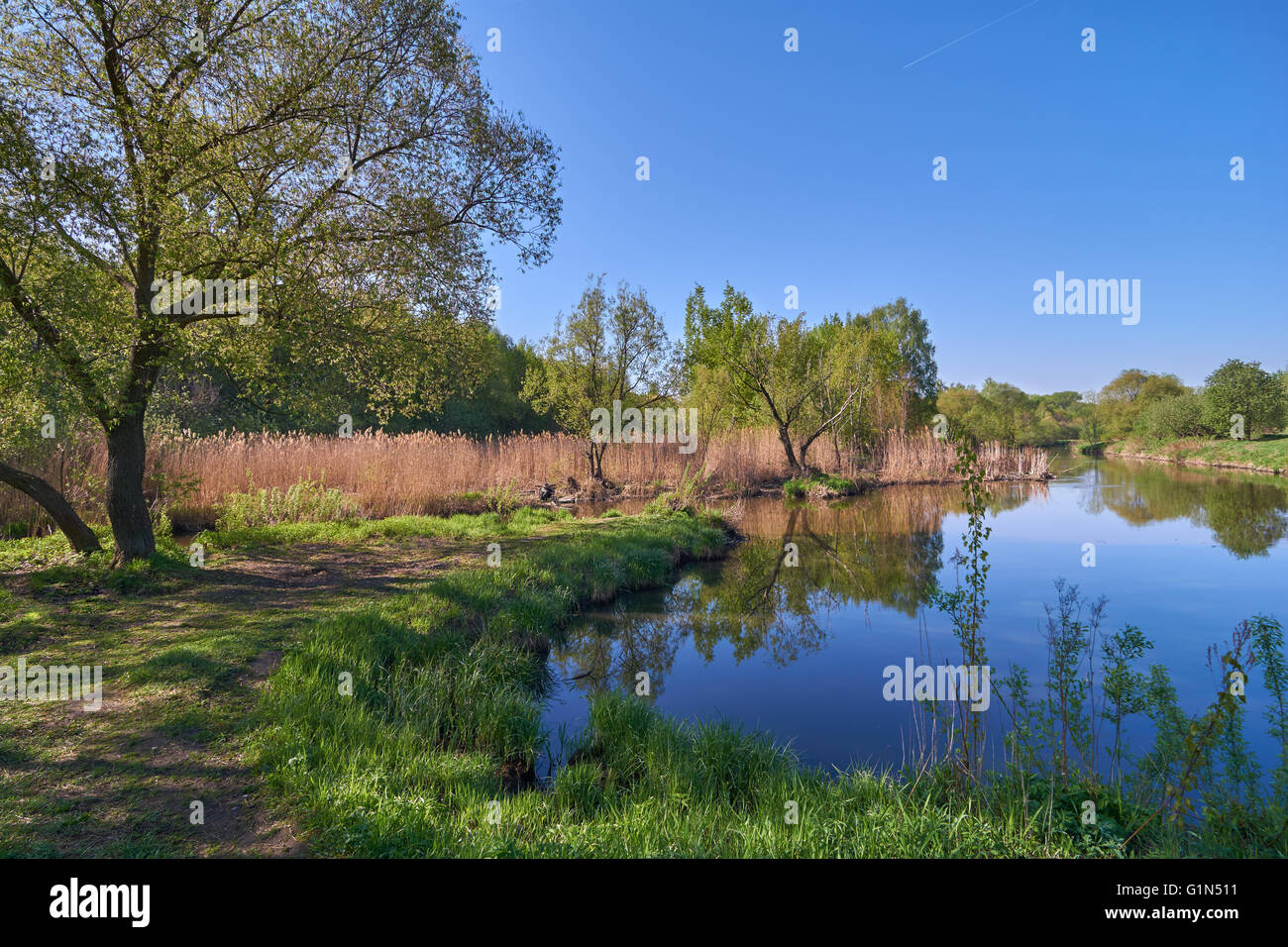 Yauza river in park on hi-res stock photography and images - Alamy