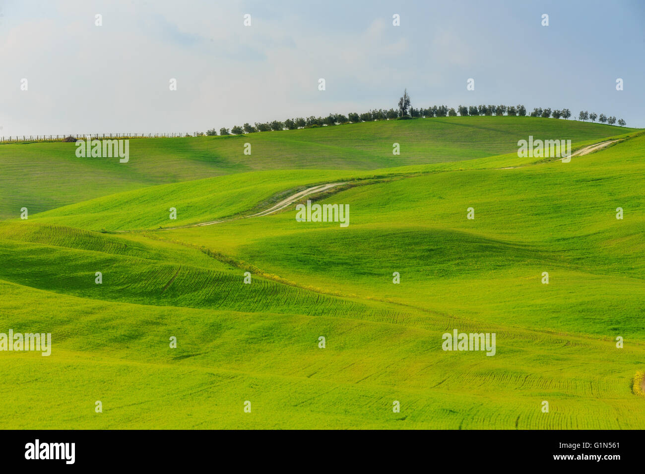 Tuscany rolling hills Stock Photo - Alamy
