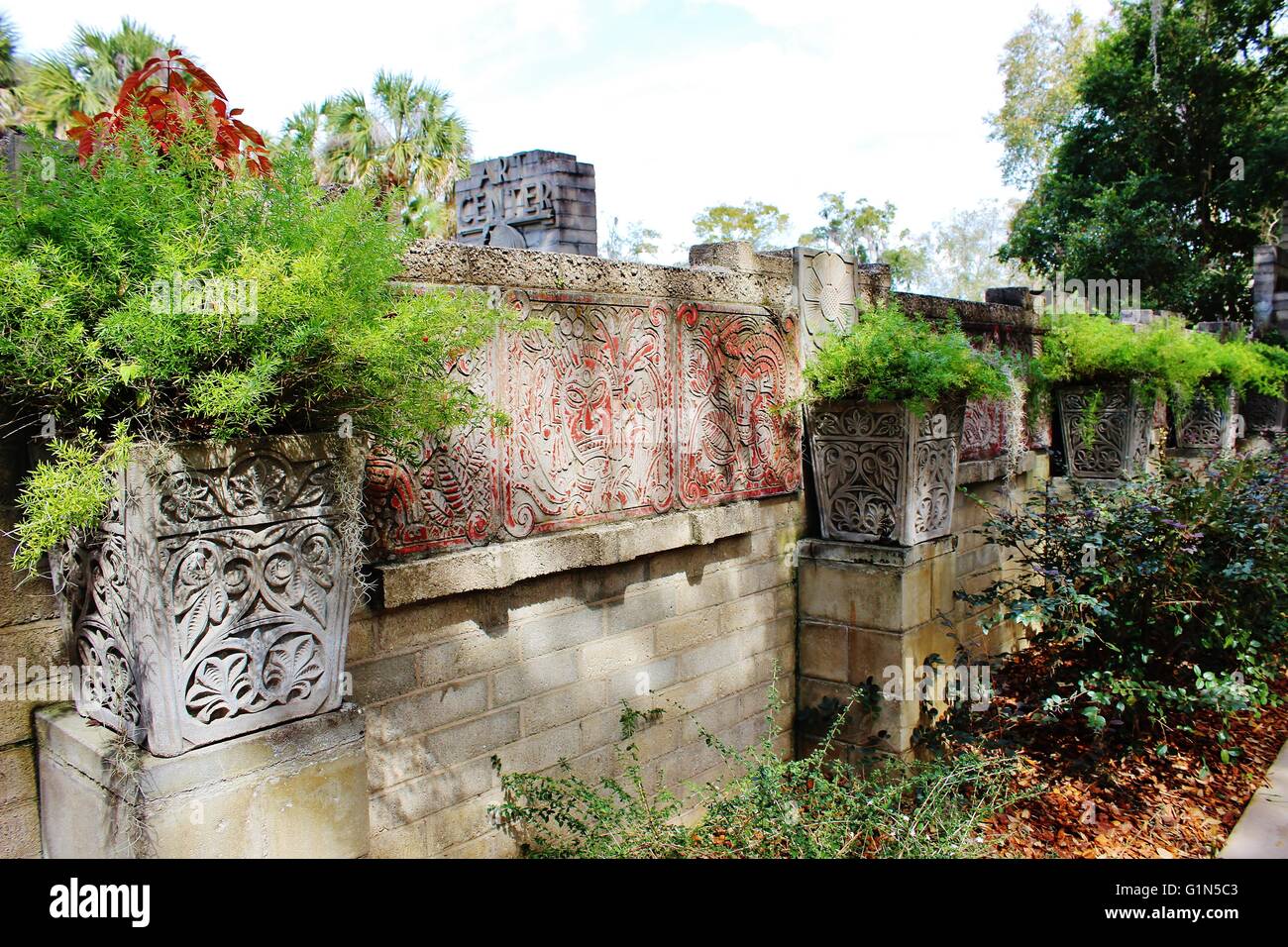 American native plants hi-res stock photography and images - Alamy