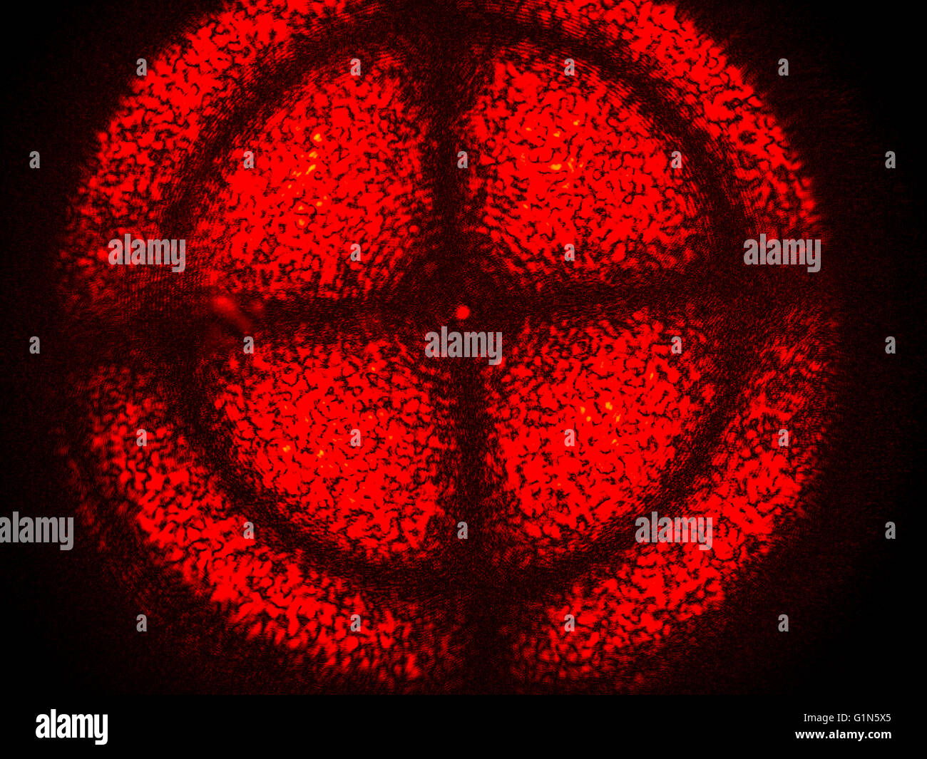 Birefringence hi-res stock photography and images - Alamy