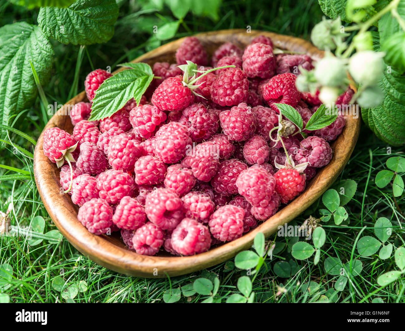 Raspberries in the wooden bowl in the grass Stock Photo - Alamy