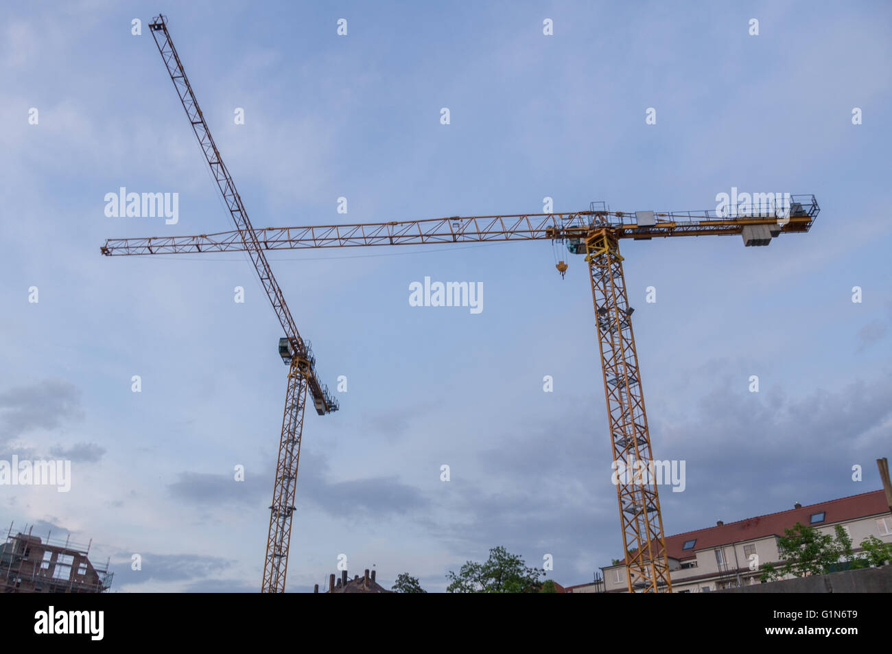Kissing cranes hi-res stock photography and images - Alamy