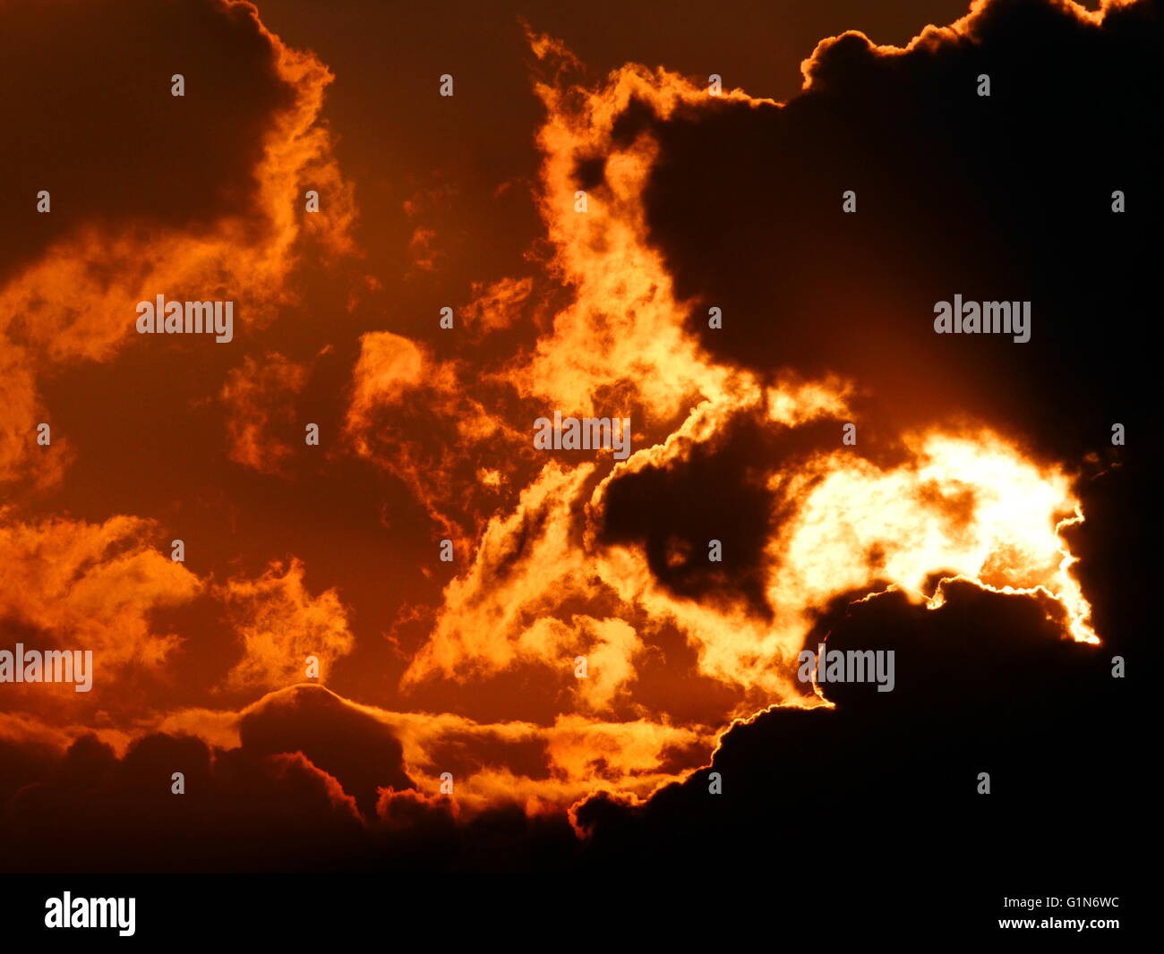 Sun devil hi-res stock photography and images - Alamy