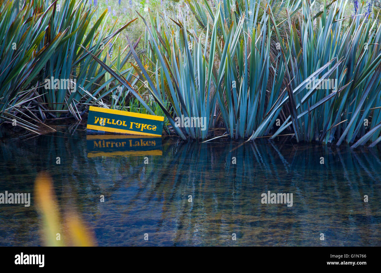 Mirror Lakes pond reflection in New Zealand Stock Photo - Alamy