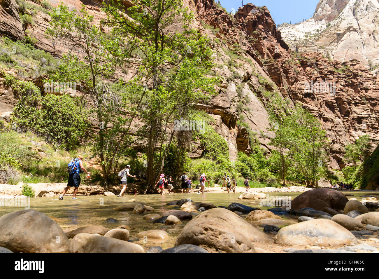 Zion National Park, Utah, USA - June 03, 2015: Tourist hiking on the ...