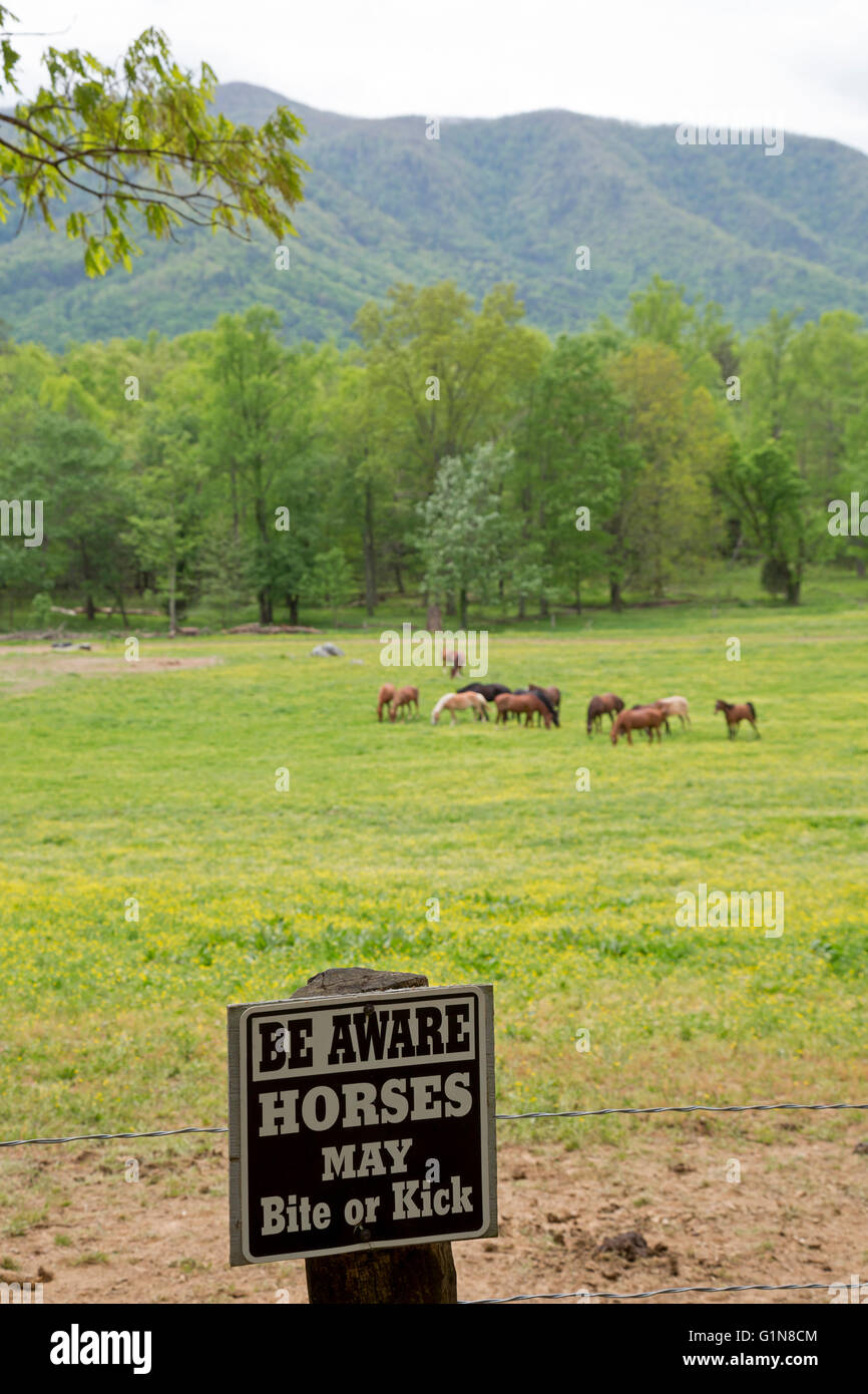 Smoky mountains national park sign hi-res stock photography and images ...