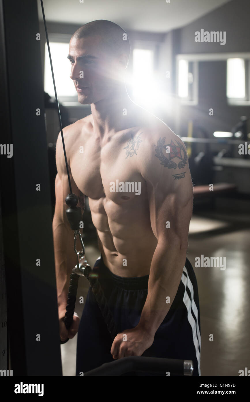 Young Muscular Fitness Bodybuilder Doing Heavy Weight Exercise For ...