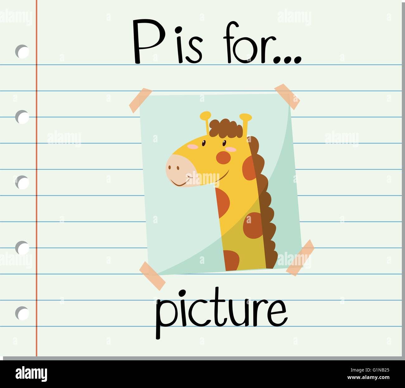 Flashcard letter P is for picture illustration Stock Vector Image & Art ...