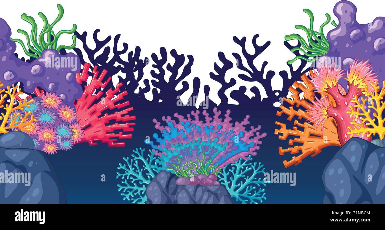 Seamless coral reef under the ocean illustration Stock Vector Image ...