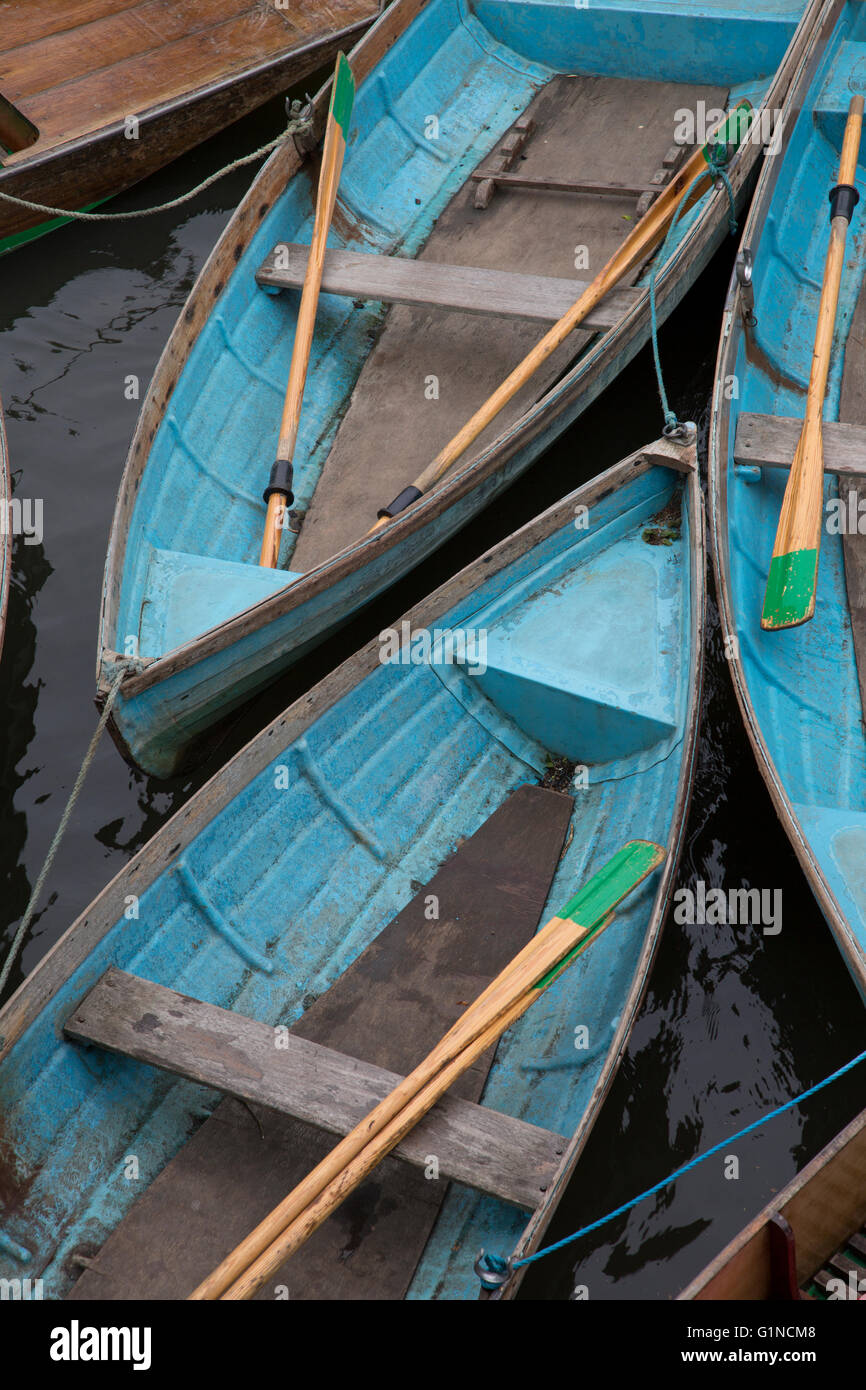 Rowing Boats for Hire, Oxford, England, UK Stock Photo - Alamy