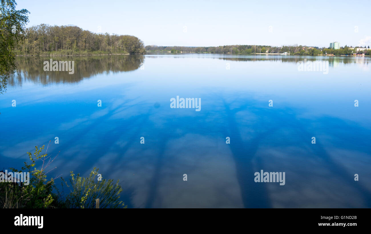 Still water of the pond and mirroring images of the trees Stock Photo ...