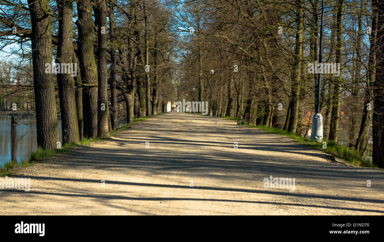 Lane around the pond lined by the trees Stock Photo - Alamy